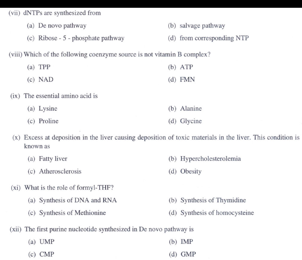 (vii) dNTPs are synthesized from (a) De novo | StudyX