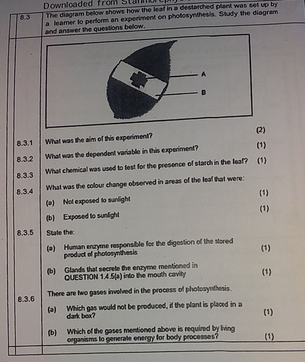 The diagram below shows how the leaf in a | StudyX
