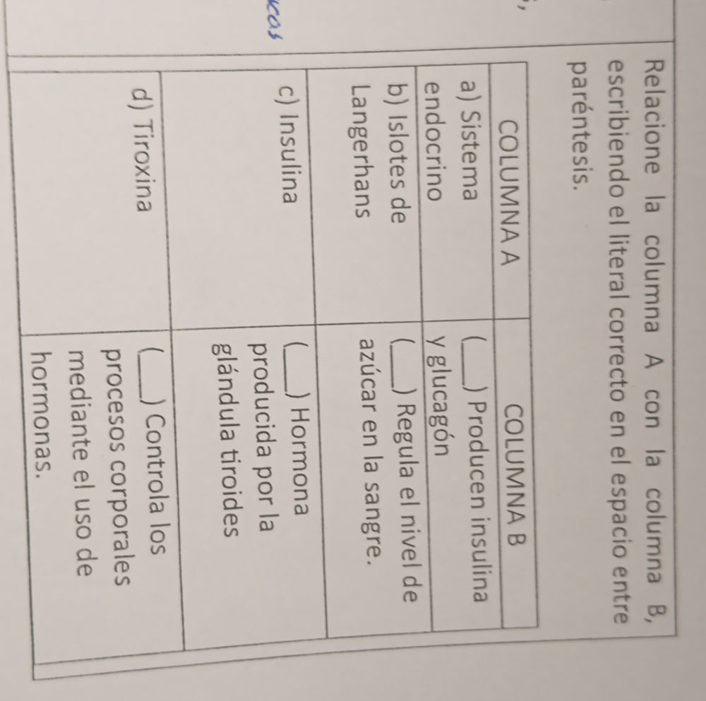 Relacione la columna A con la columna B, | StudyX