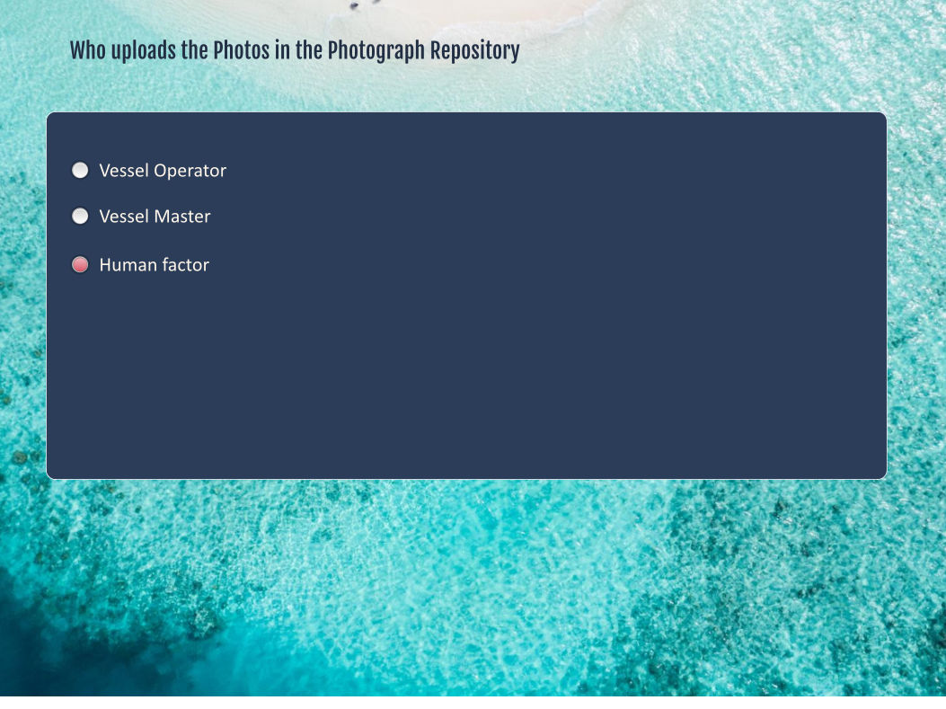 Who uploads the Photos in the Photograph | StudyX