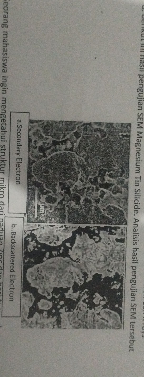 d. Berikut ini hasil pengujian SEM Magnesium | StudyX