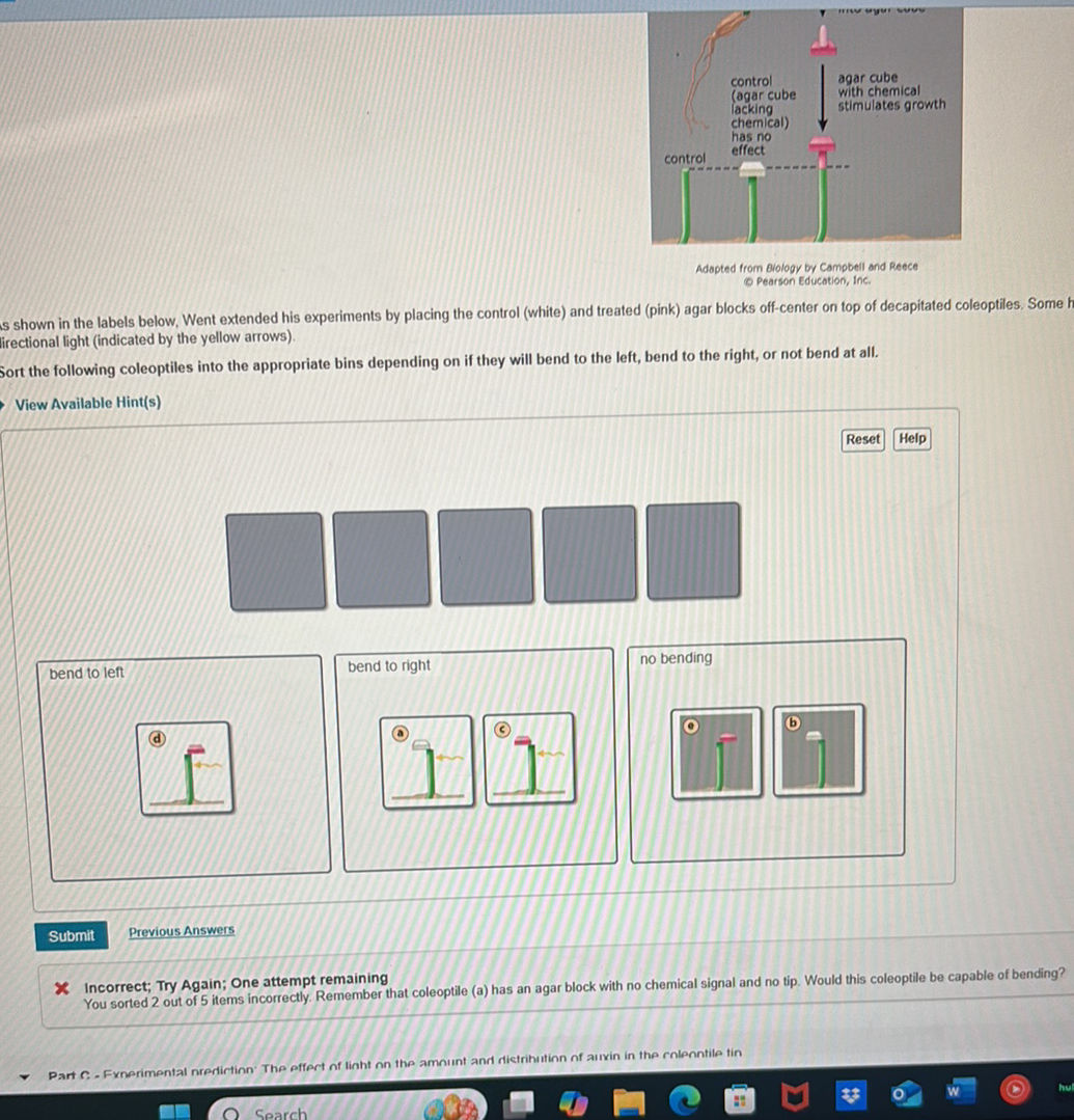 As shown in the labels below, Went extended | StudyX