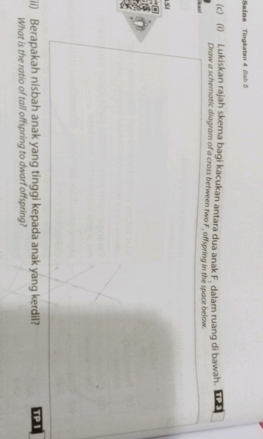 (c) (i) Draw a schematic diagram of a cross | StudyX