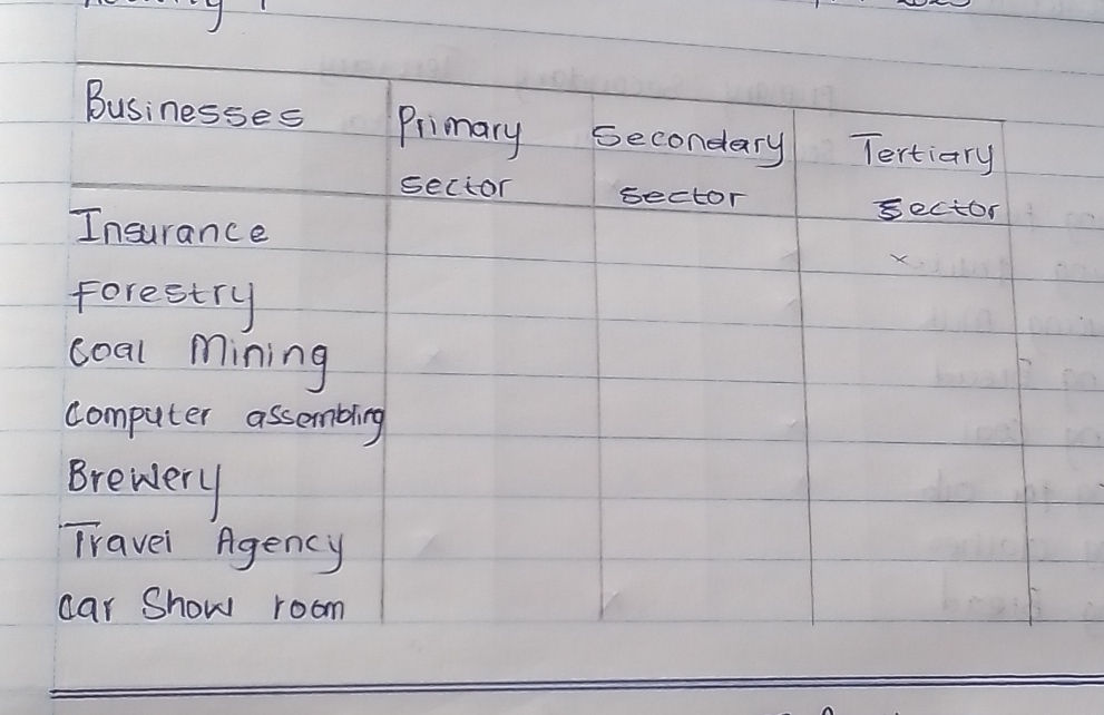 | Businesses | Primary sector | Secondary | StudyX