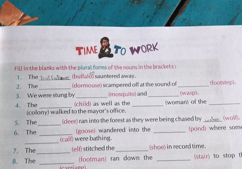 Fill in the blanks with the plural forms of | StudyX