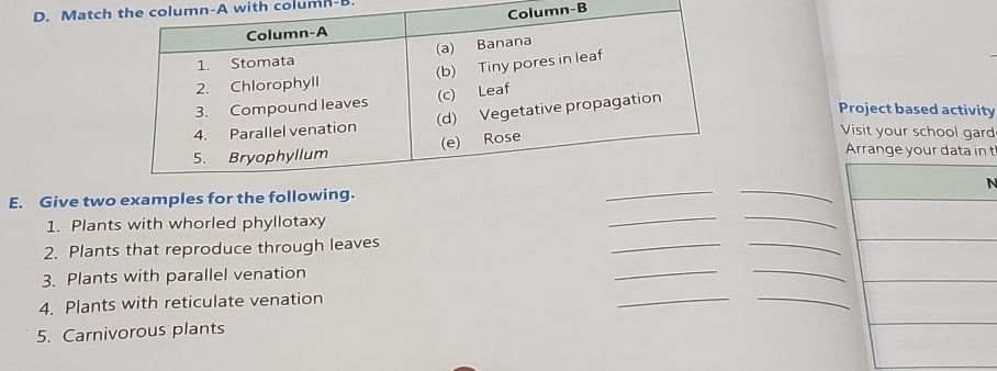 D. Match the column-A with column-B. | | StudyX