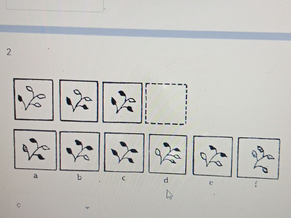 2 [Image of a sequence of plant diagrams | StudyX