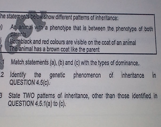The statements below show different patterns | StudyX