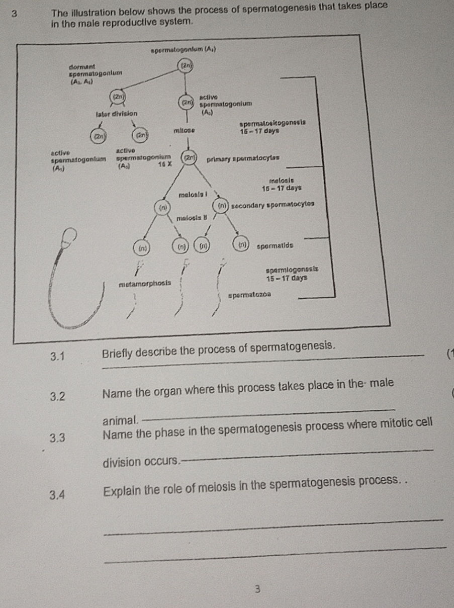 3. The illustration below shows the process | StudyX