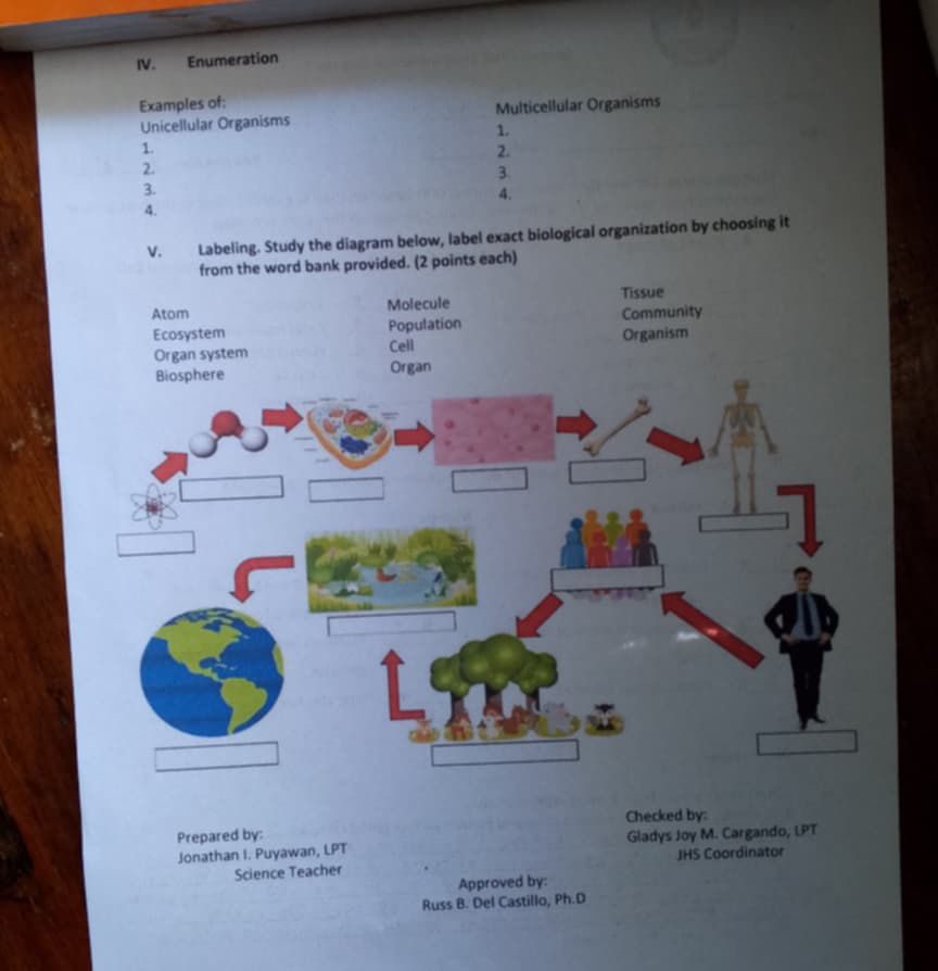 V. Labeling. Study the diagram below, label | StudyX