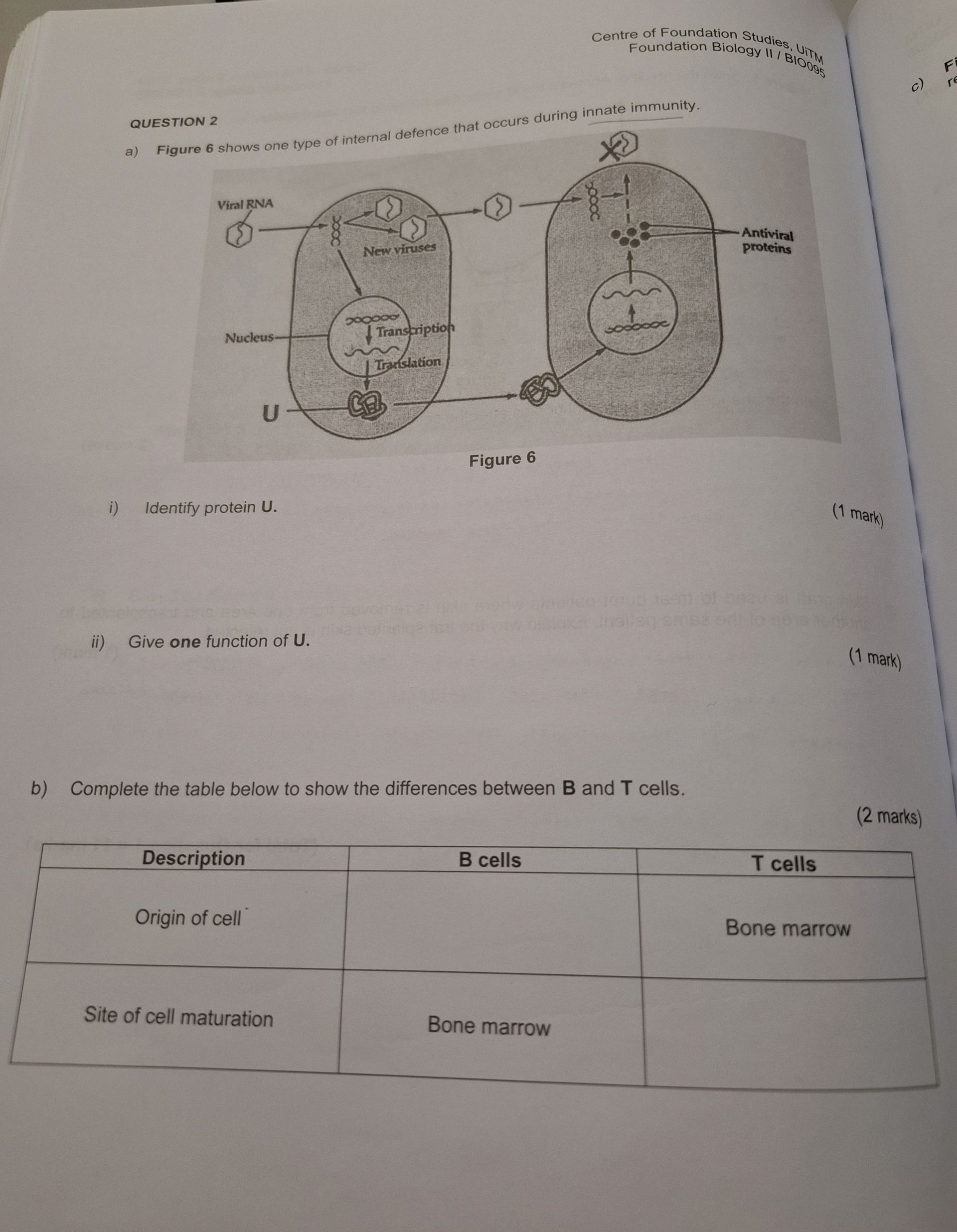 a) Figure 6 shows one type of internal | StudyX