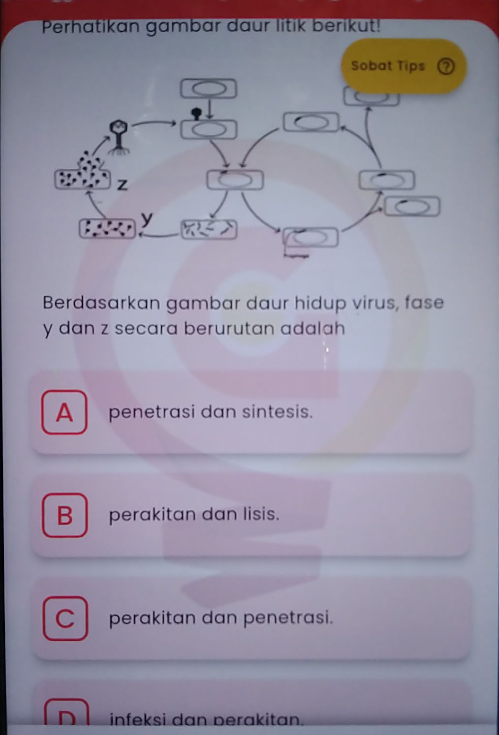Berdasarkan gambar daur hidup virus, fase y | StudyX