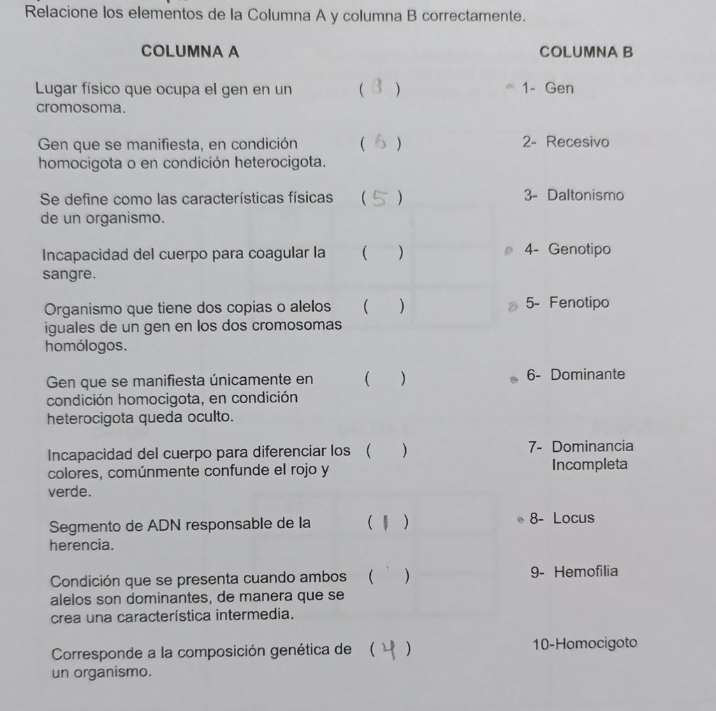 Relacione los elementos de la Columna A y | StudyX