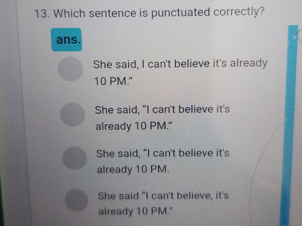 13. Which sentence is punctuated correctly? | StudyX