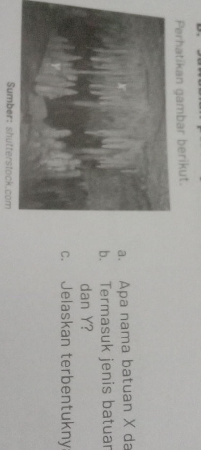 Perhatikan gambar berikut. a. Apa nama | StudyX