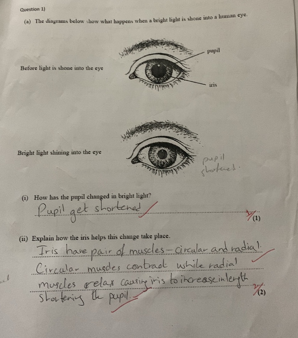 Question 1) (a) The diagrams below show what | StudyX