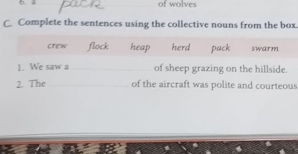 C. Complete the sentences using the | StudyX