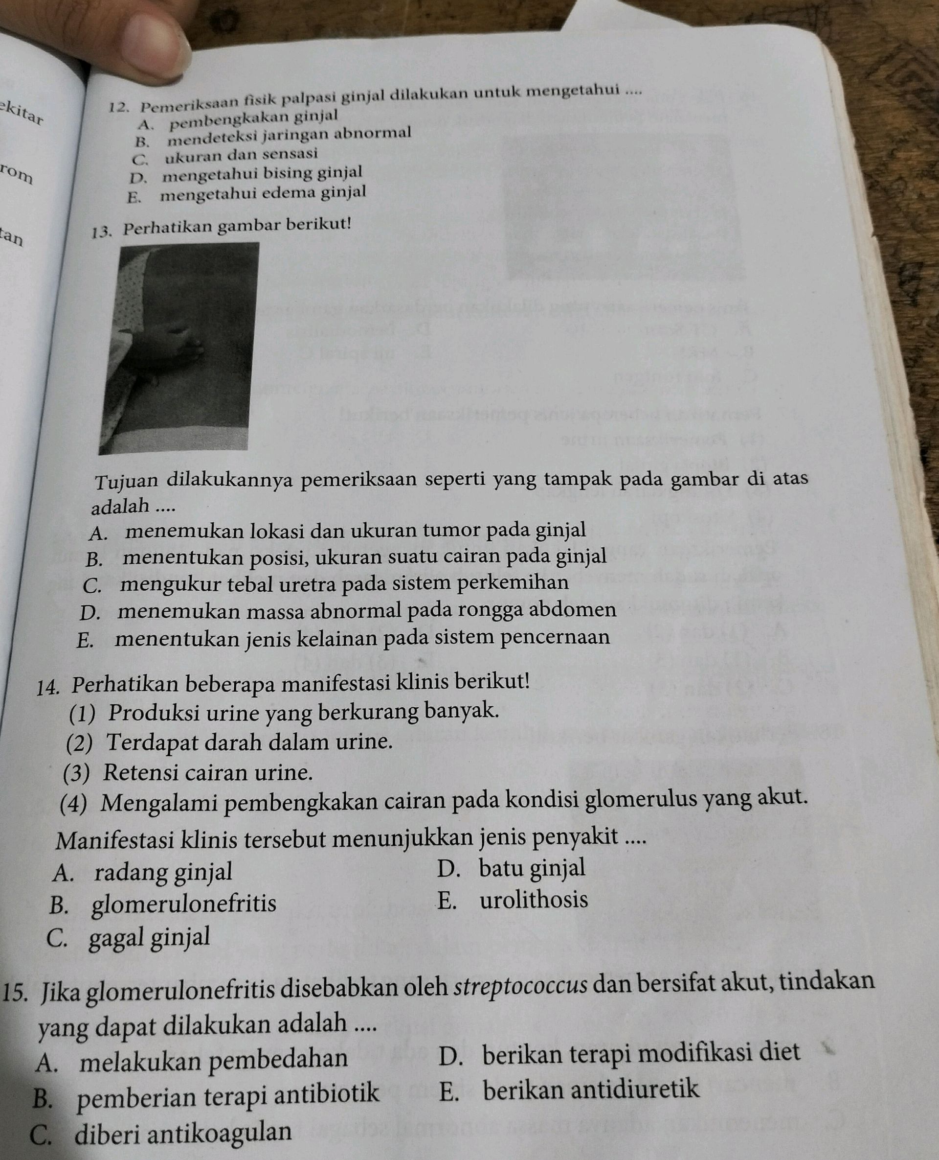 12. Pemeriksaan fisik palpasi ginjal | StudyX