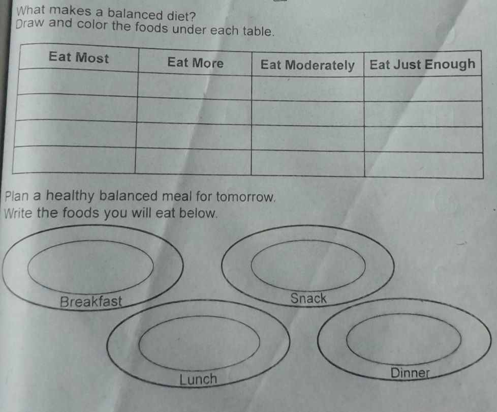 What makes a balanced diet? Draw and color | StudyX