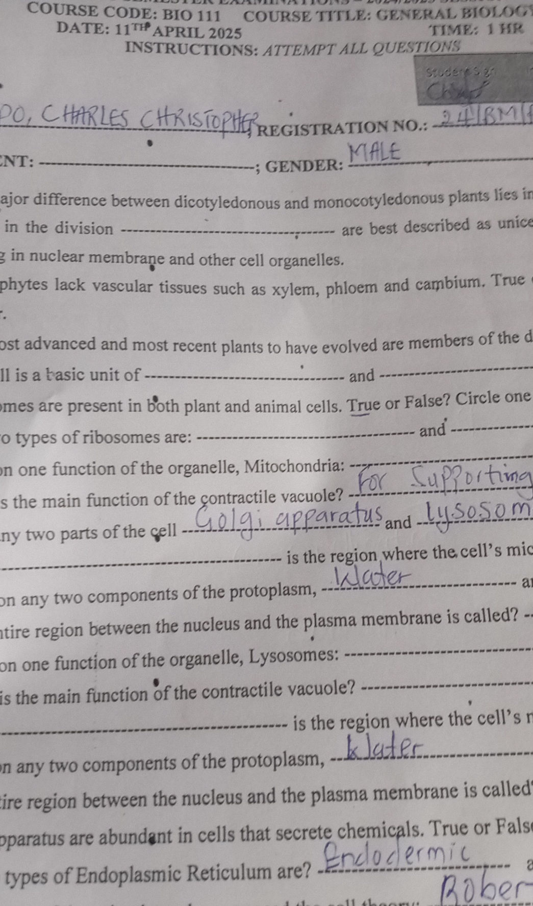 major difference between dicotyledonous and | StudyX