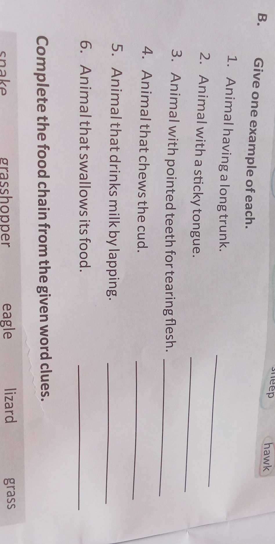 B. Give one example of each. 1. Animal | StudyX