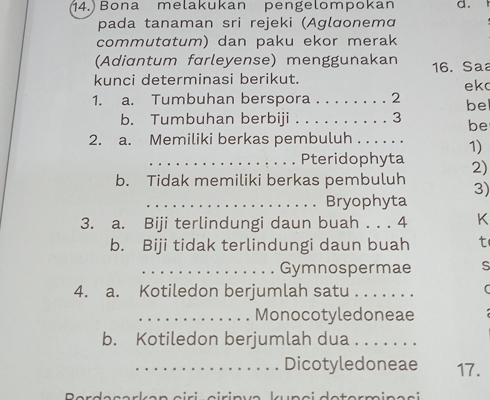 14. Bona melakukan pengelompokan pada | StudyX
