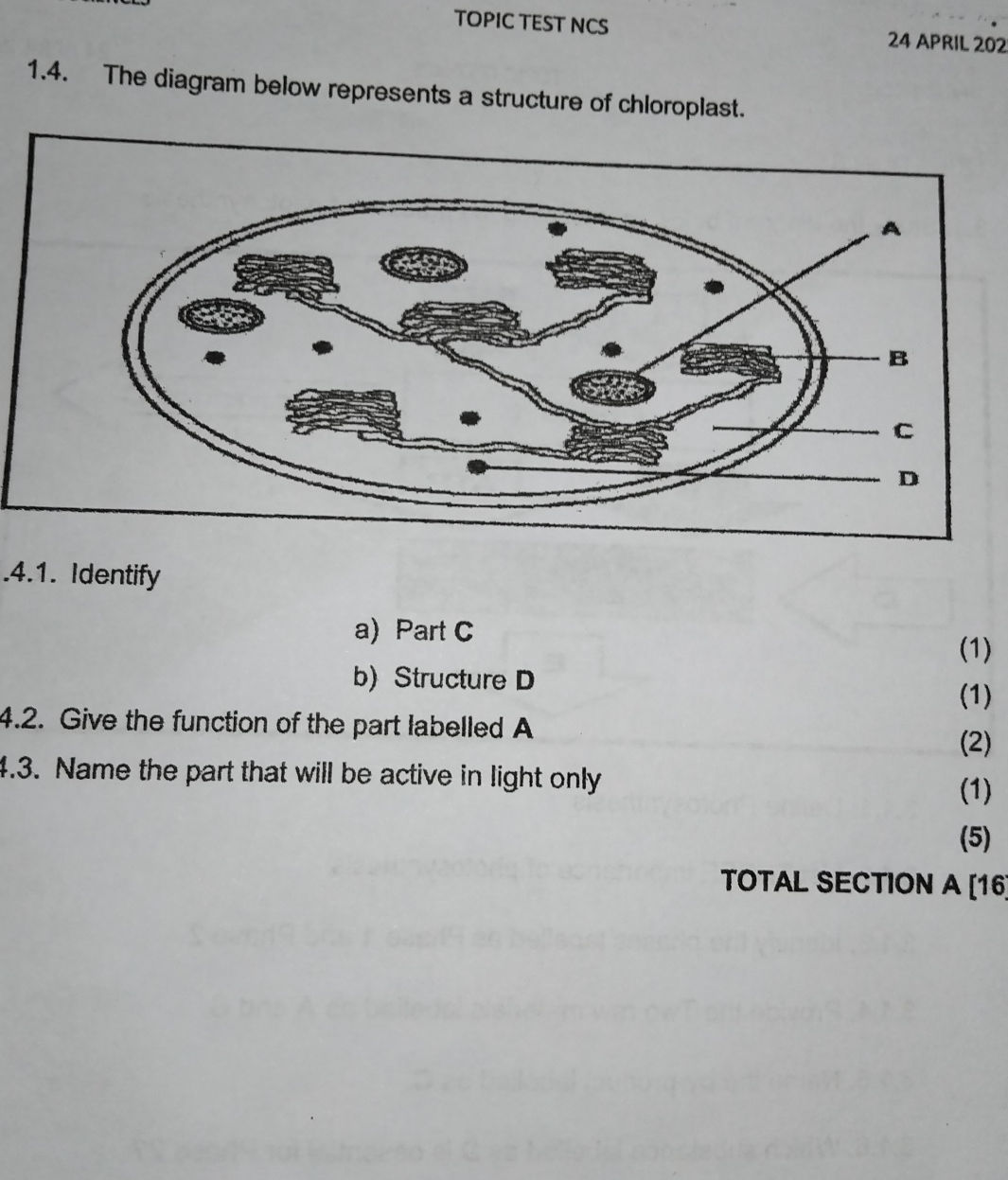 1. 4. The diagram below represents a | StudyX