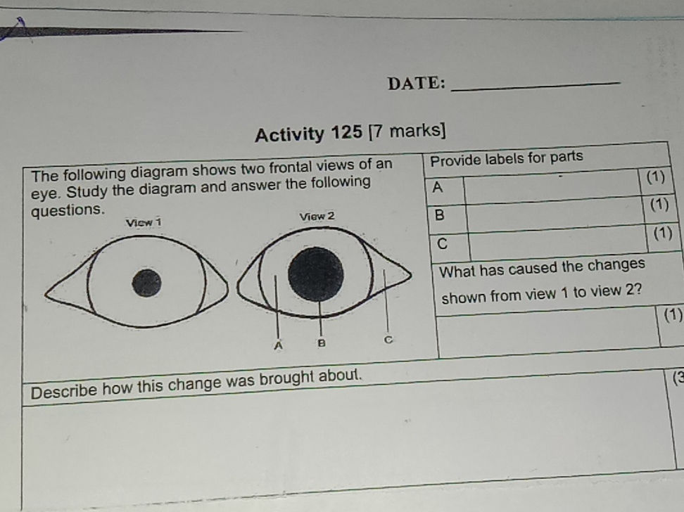 The following diagram shows two frontal | StudyX