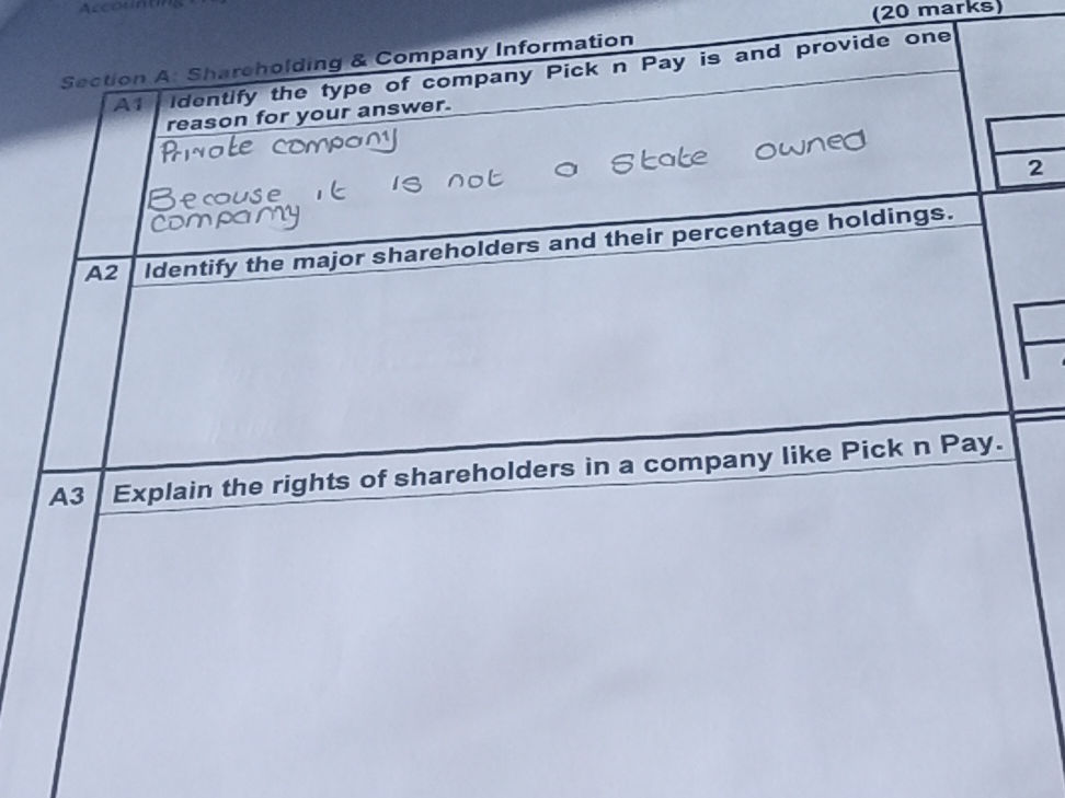 A1 Identify the type of company Pick n Pay | StudyX