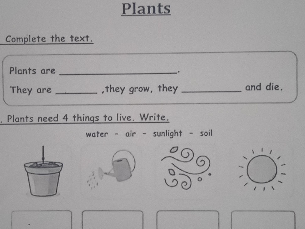 Complete the text. Plants are _____ They | StudyX