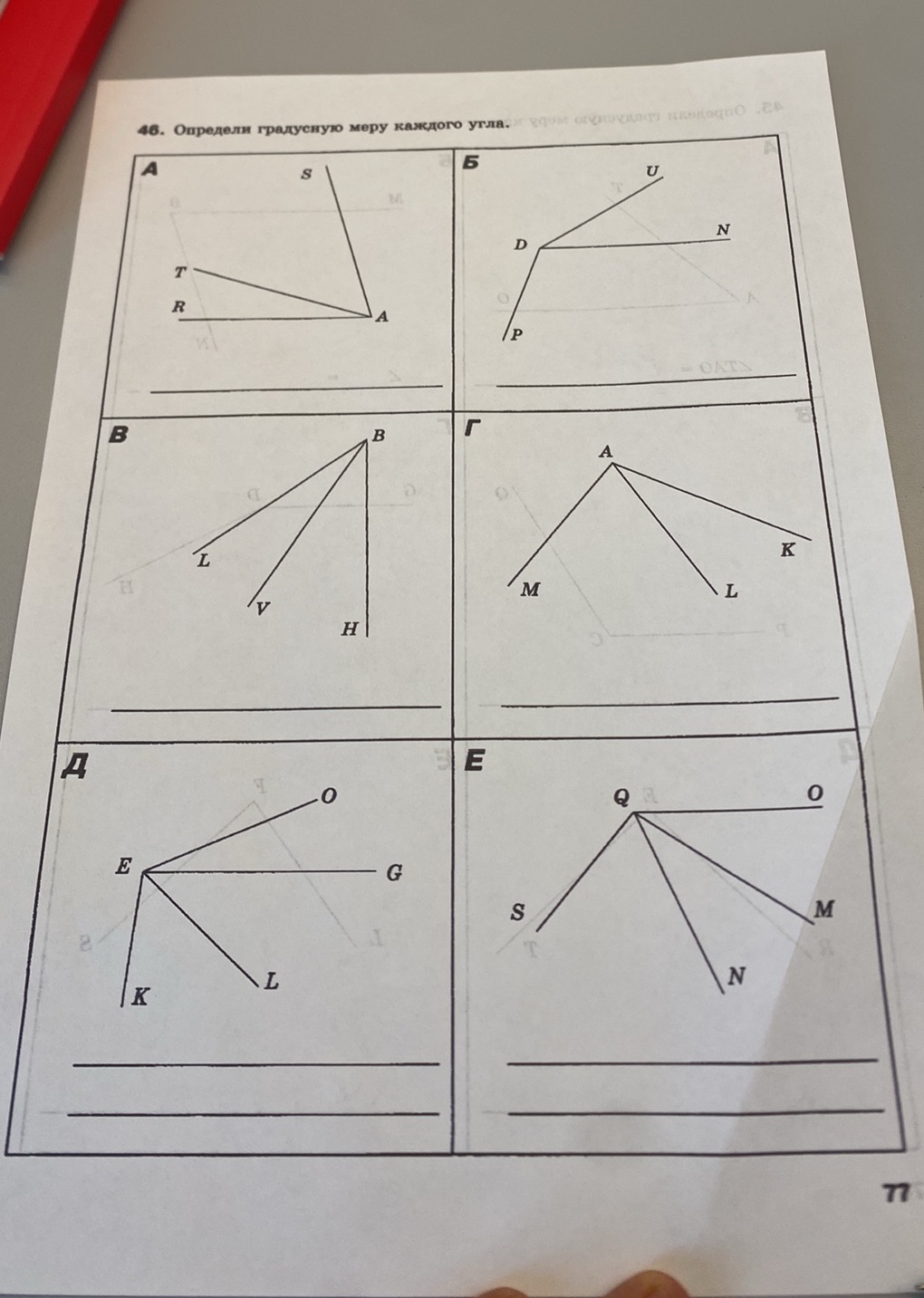 46. Определи градусную меру каждого угла. | StudyX