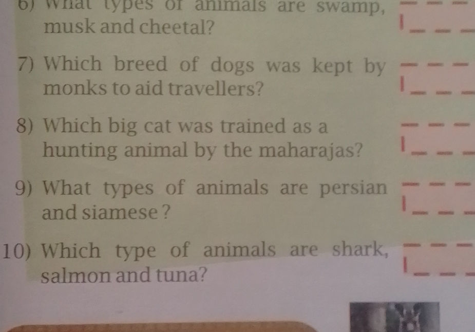 6) What types of animals are swamp, musk and | StudyX