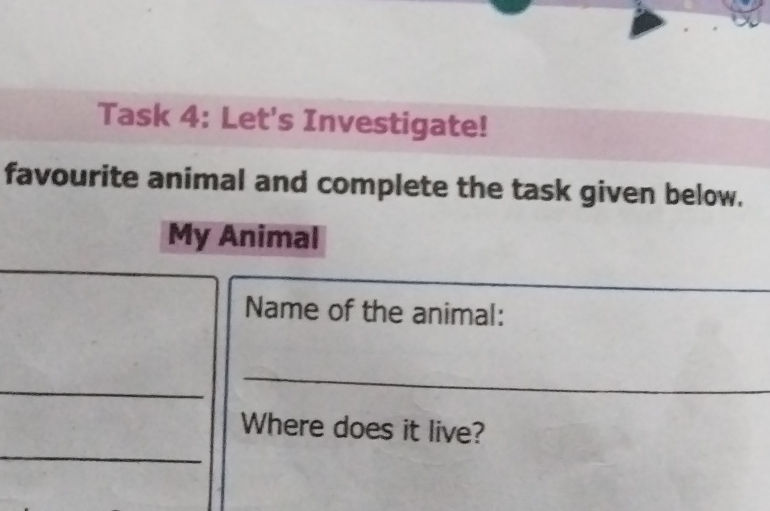Task 4: Let's Investigate! favourite animal | StudyX
