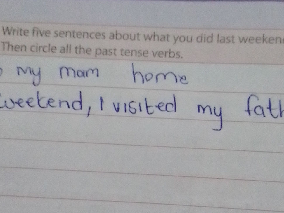 Write five sentences about what you did last | StudyX