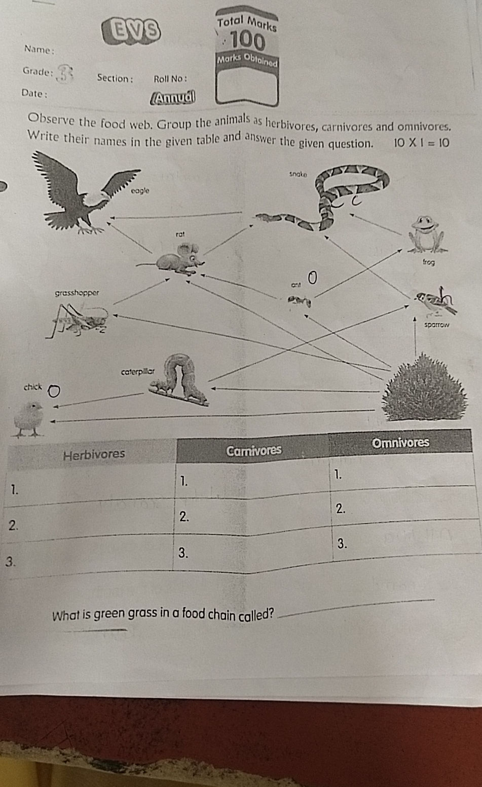 Observe the food web. Group the animals as | StudyX