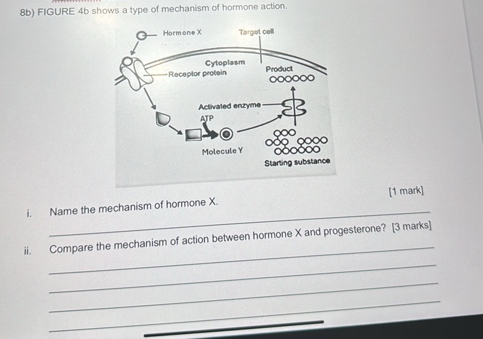 8b) FIGURE 4b shows a type of mechanism of | StudyX