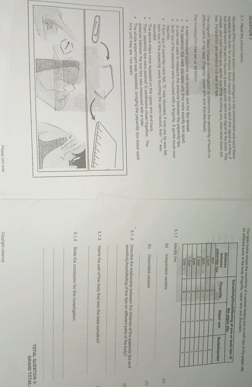3. 1 Read the extract below. Neurons of | StudyX