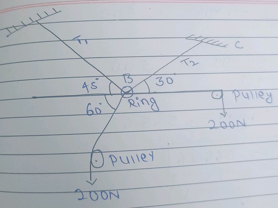 The image depicts a static equilibrium | StudyX