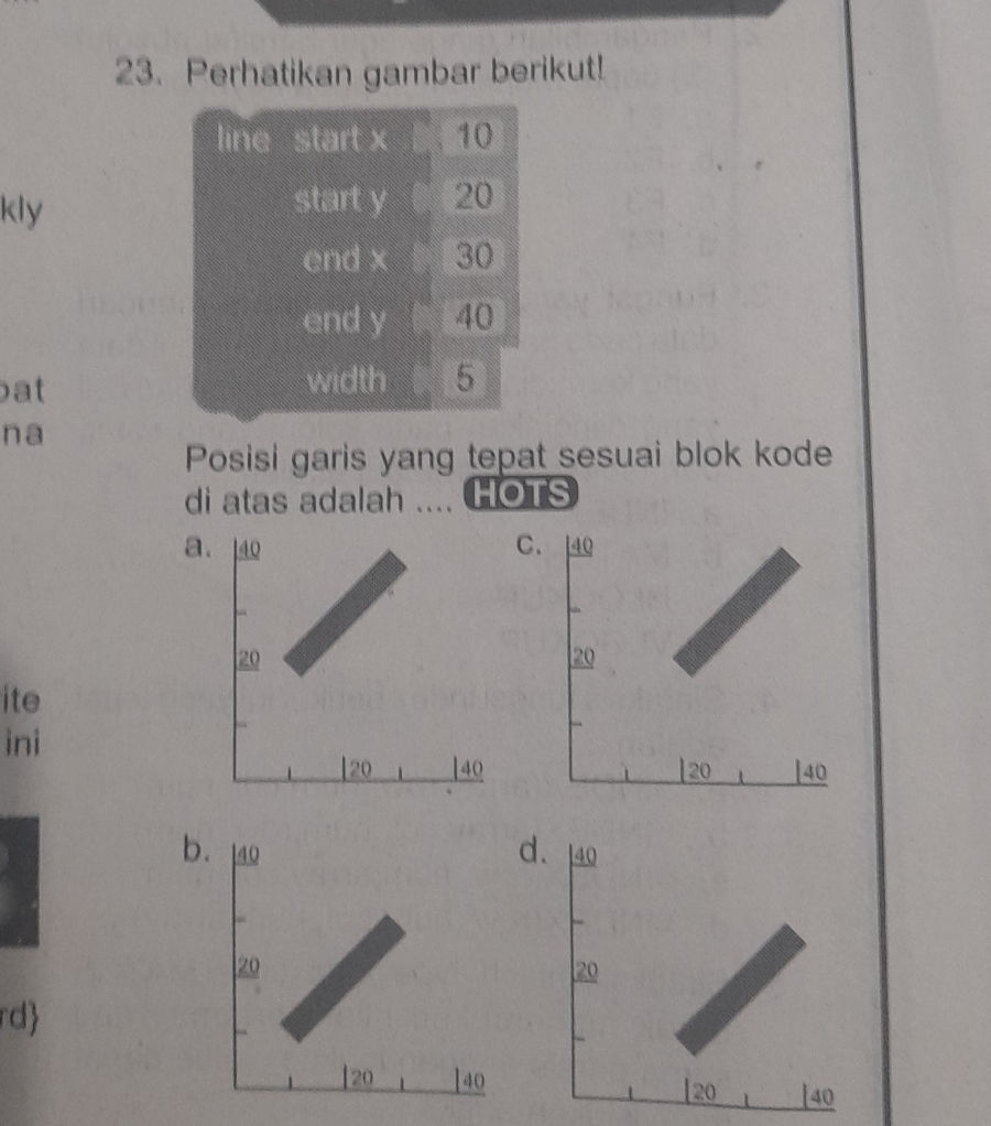 23. Perhatikan gambar berikut! | line | | StudyX