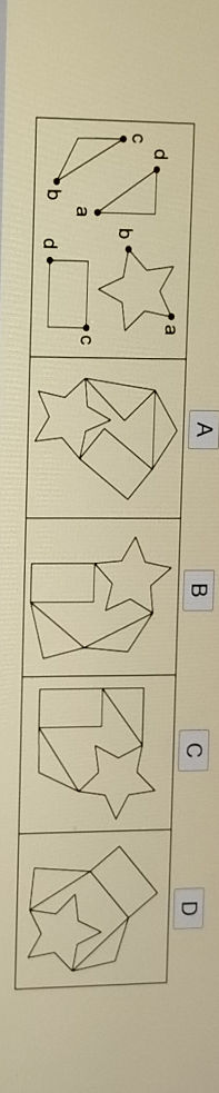 Which of the following figures can be formed | StudyX