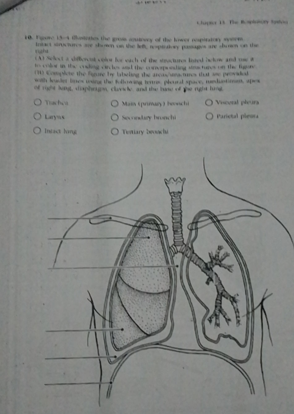 10. Figure 13-4 illustrates the gross | StudyX