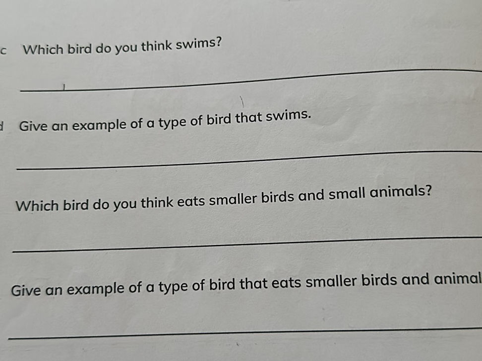 c Which bird do you think swims? d Give an | StudyX