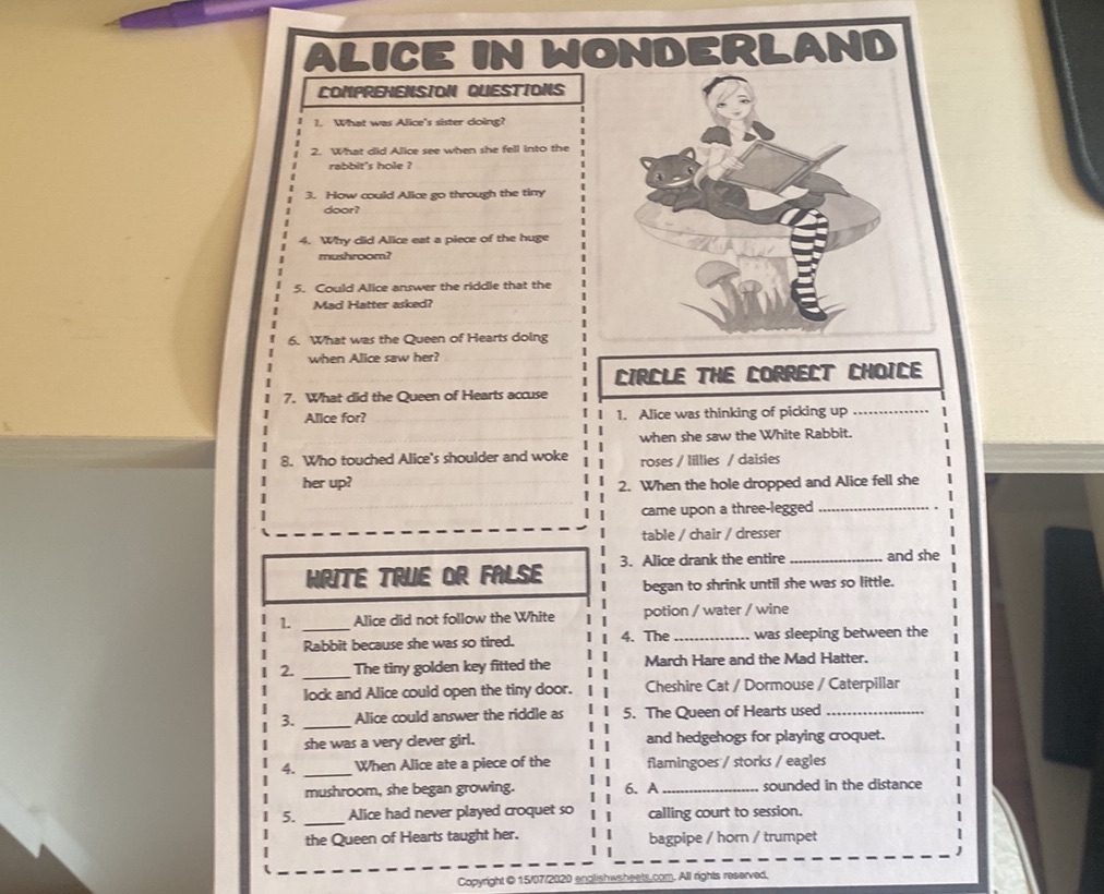 COMPREHENSION QUESTIONS 1. What was Alice's | StudyX