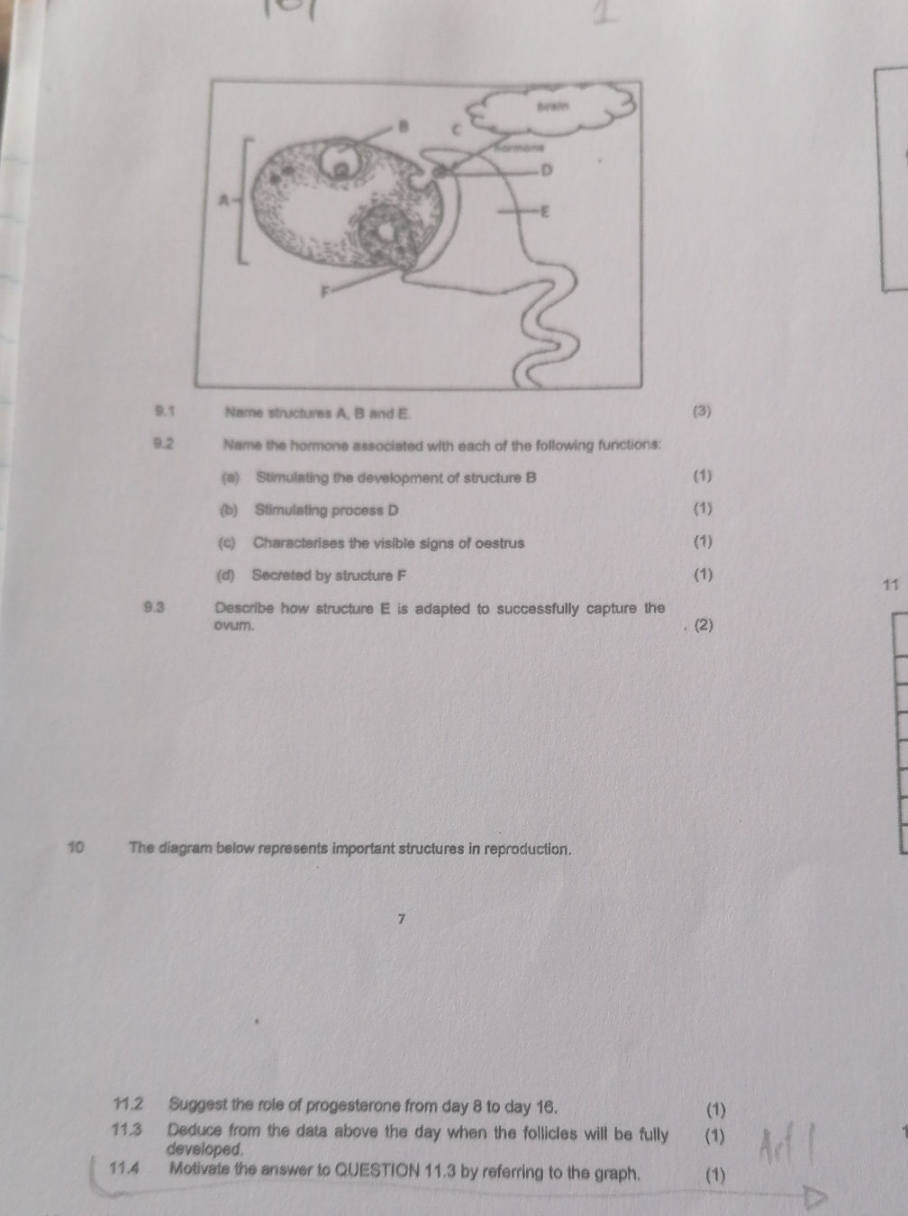 9.1 Name structures A, B and E. 9.2 Name | StudyX