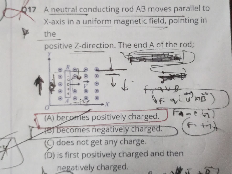 17 A neutral conducting rod AB moves | StudyX