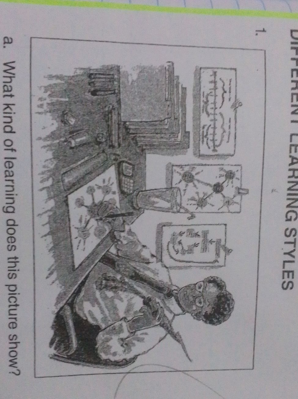 1. DIFFERENT LEARNING STYLES a. What kind of | StudyX