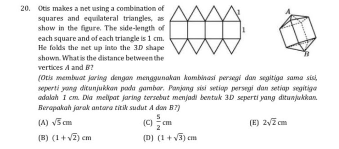 20. Otis makes a net using a combination of | StudyX