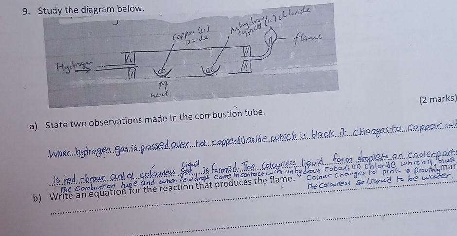 9. Study the diagram below. Copper (II) | StudyX