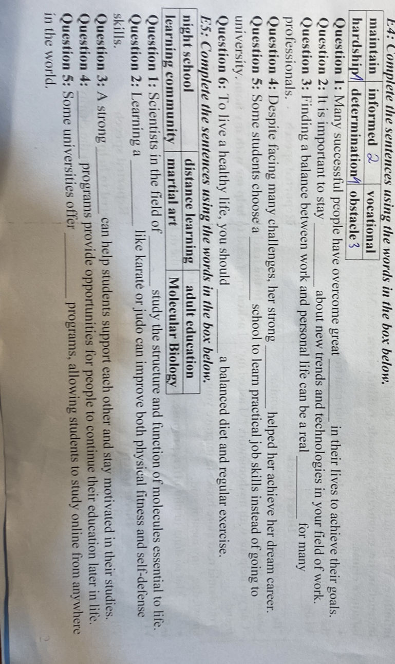 E4: Complete the sentences using the words | StudyX