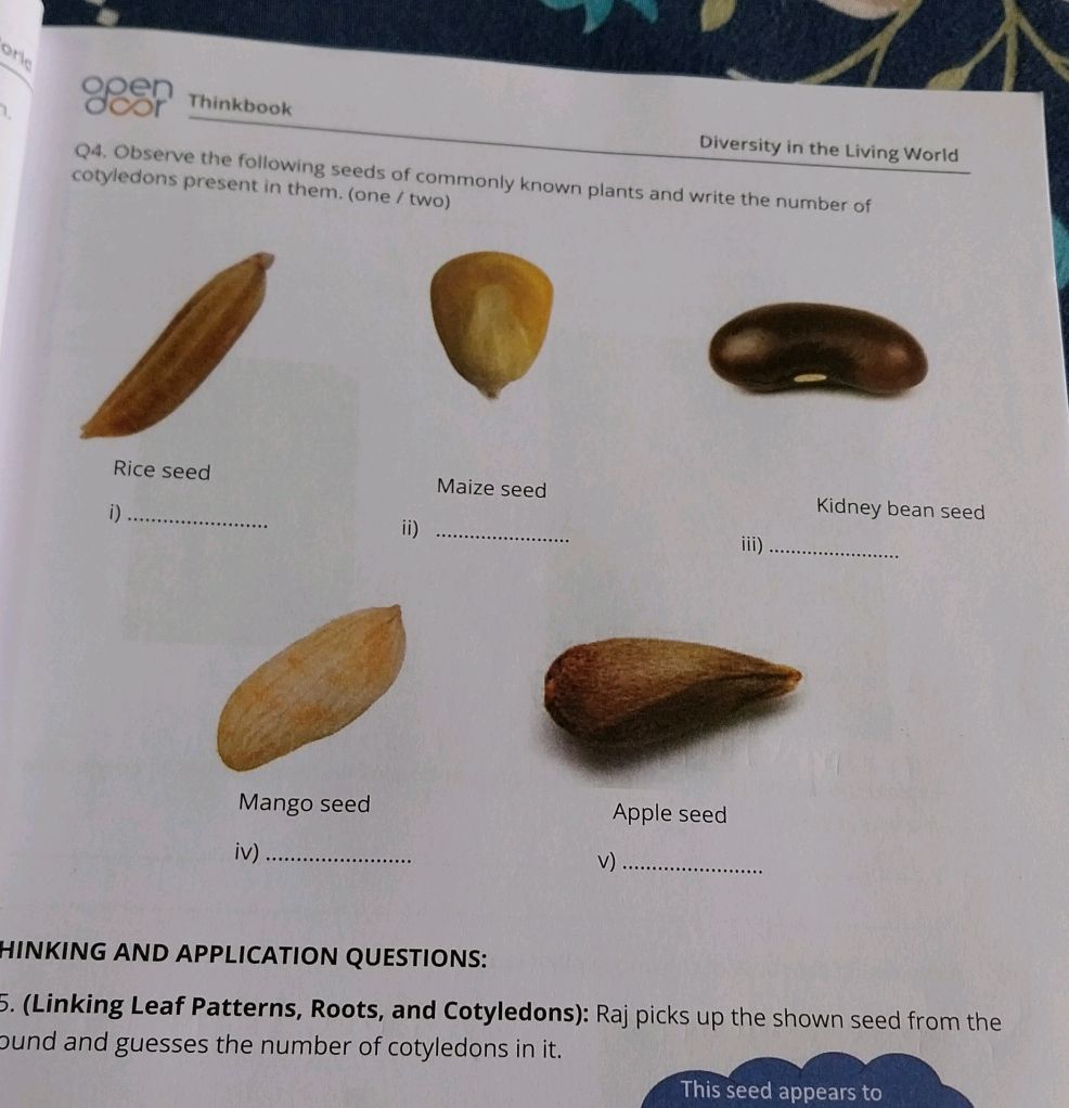 Q4. Observe the following seeds of commonly | StudyX